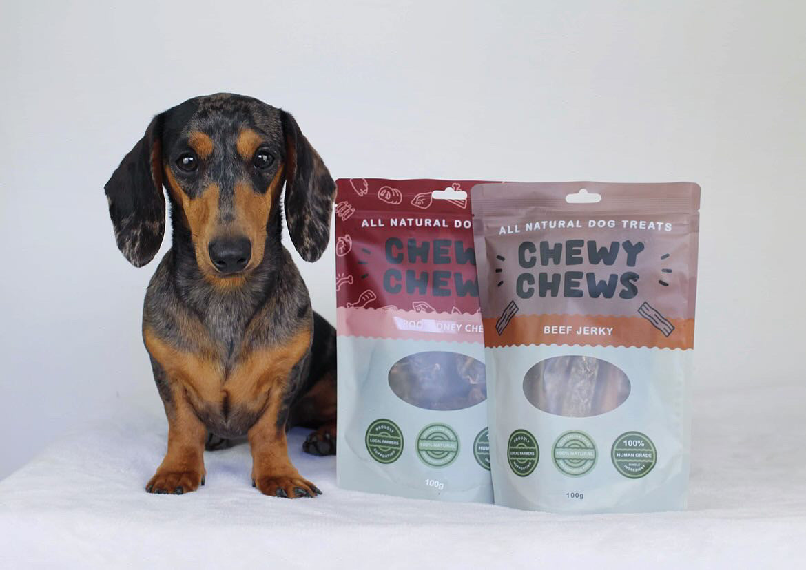 Our Ultimutt Black Friday Shopping Guide – Chewy Chews